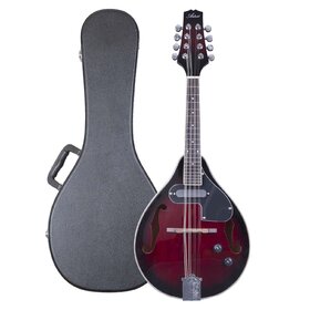 Artist Guitars | Australia's Favourite Online Guitar Store