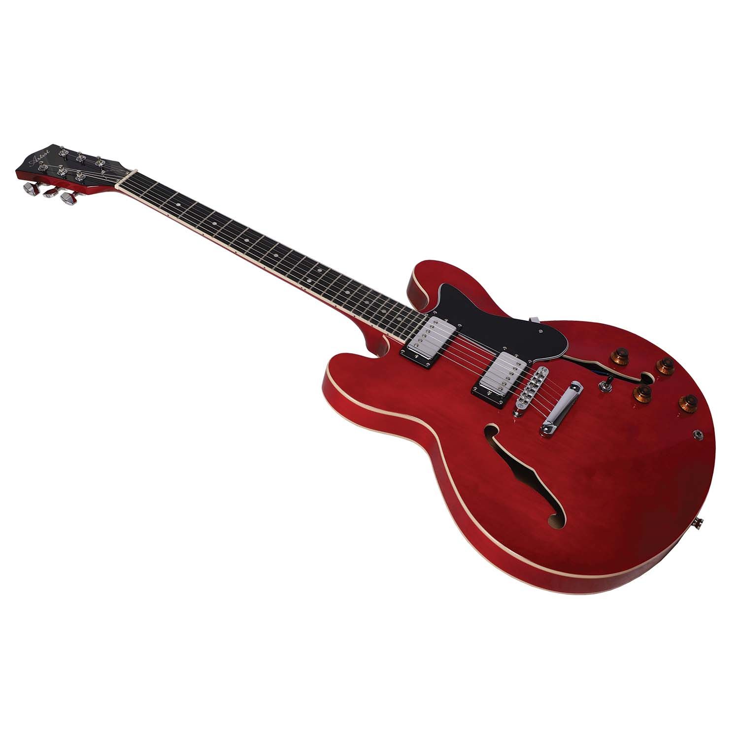 Solid Chambered Hollow And Semi Hollow Body Guitars What Is The Solid Chambered Hollow And Semi Hollow Body Guitars What Is The